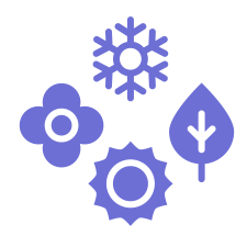 Smarty Plus Services